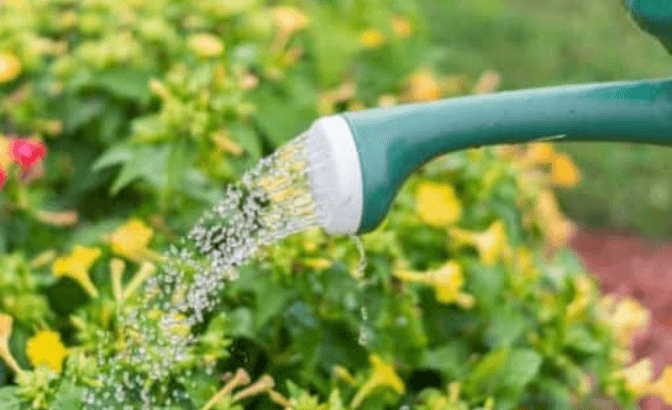 How and where to use RO Reject water?